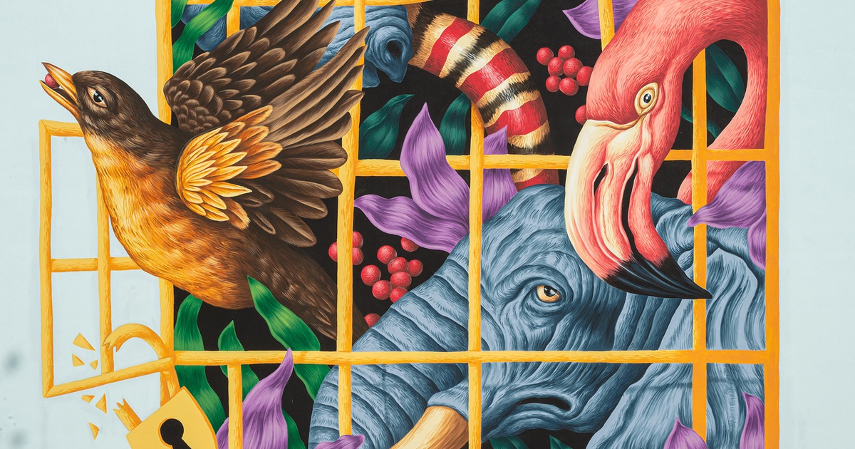 Saddo for Igloo | Mobius Gallery